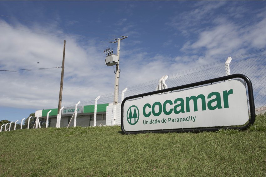 PARANACITY - Cocamar